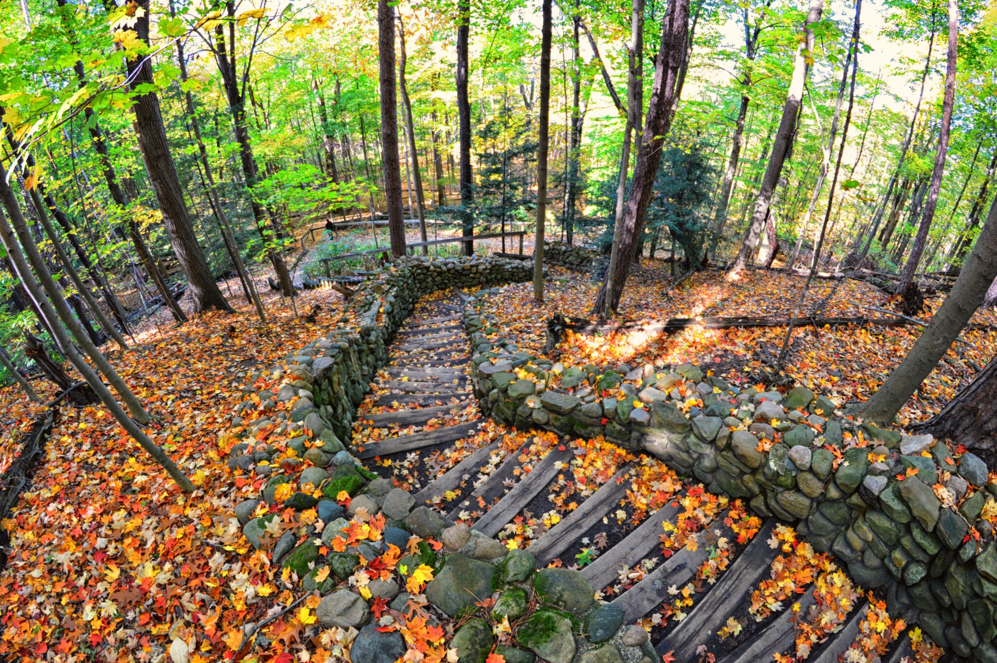 10 Best Fall Hikes Near Cleveland ⋆