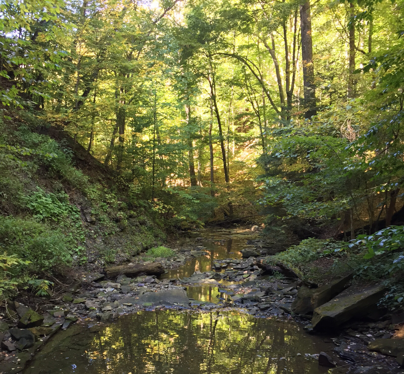 The Best Hiking East of Cleveland ⋆