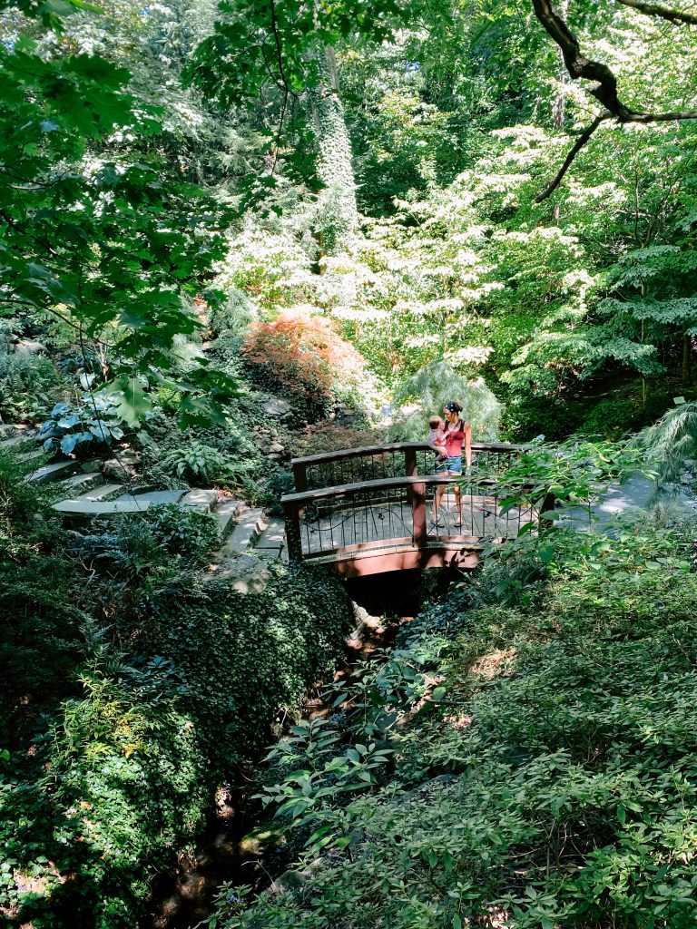 Experience the Cleveland Botanical Gardens ⋆