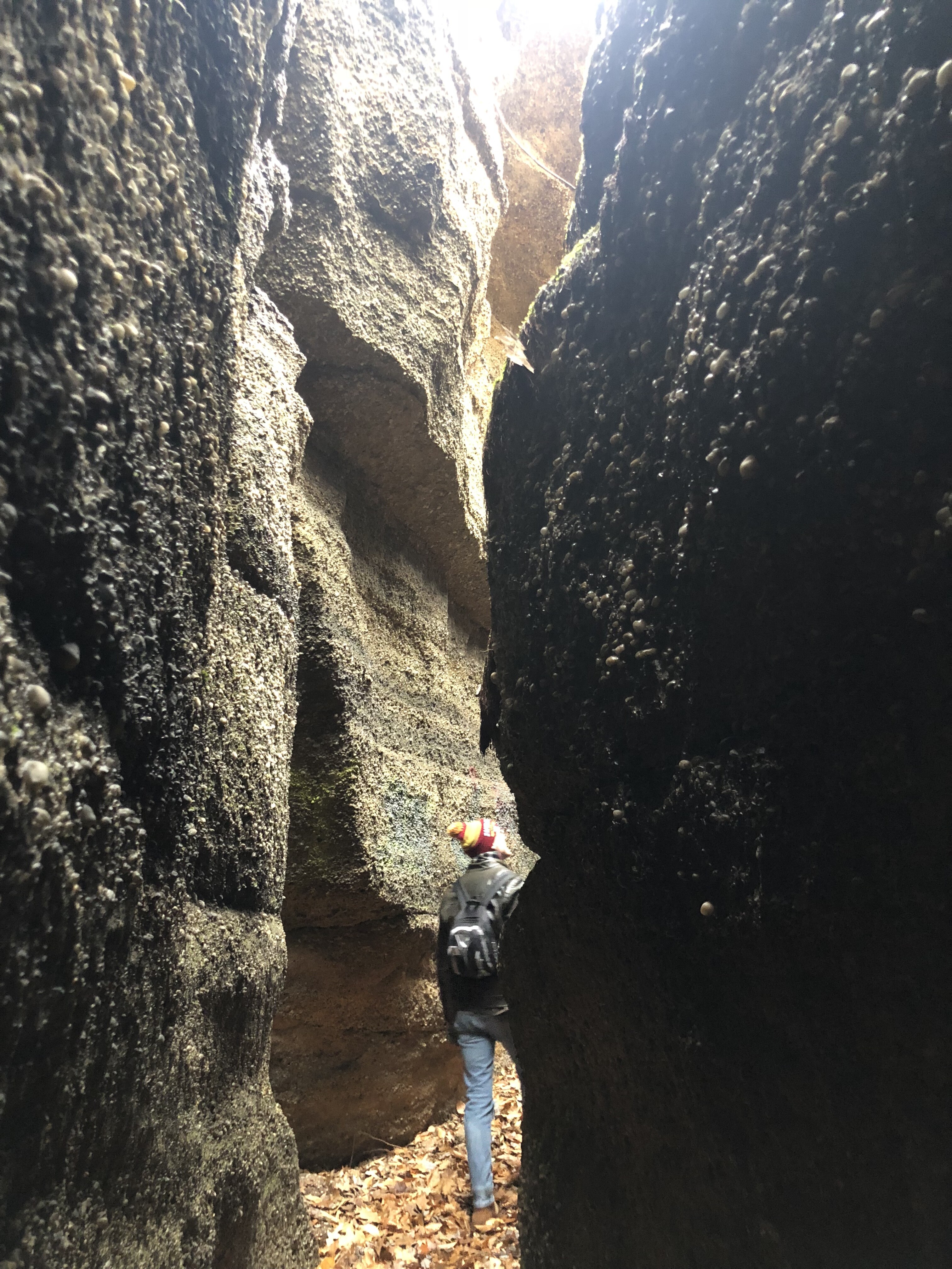 Explore the Ledges of Northeast Ohio ⋆