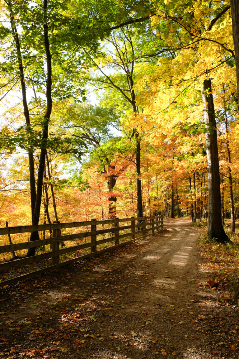 10 Best Fall Hikes Near Cleveland ⋆