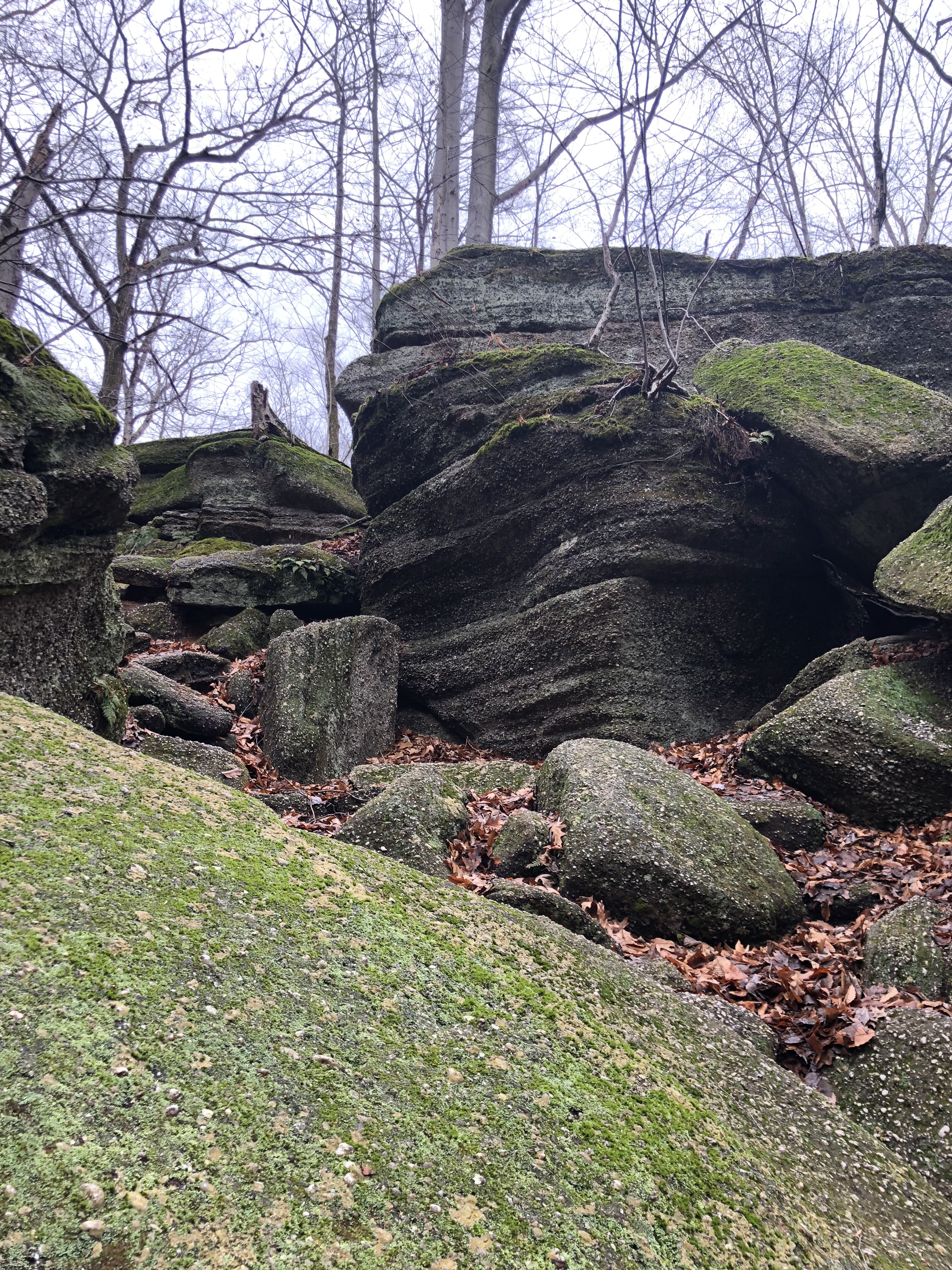 Explore the Ledges of Northeast Ohio ⋆
