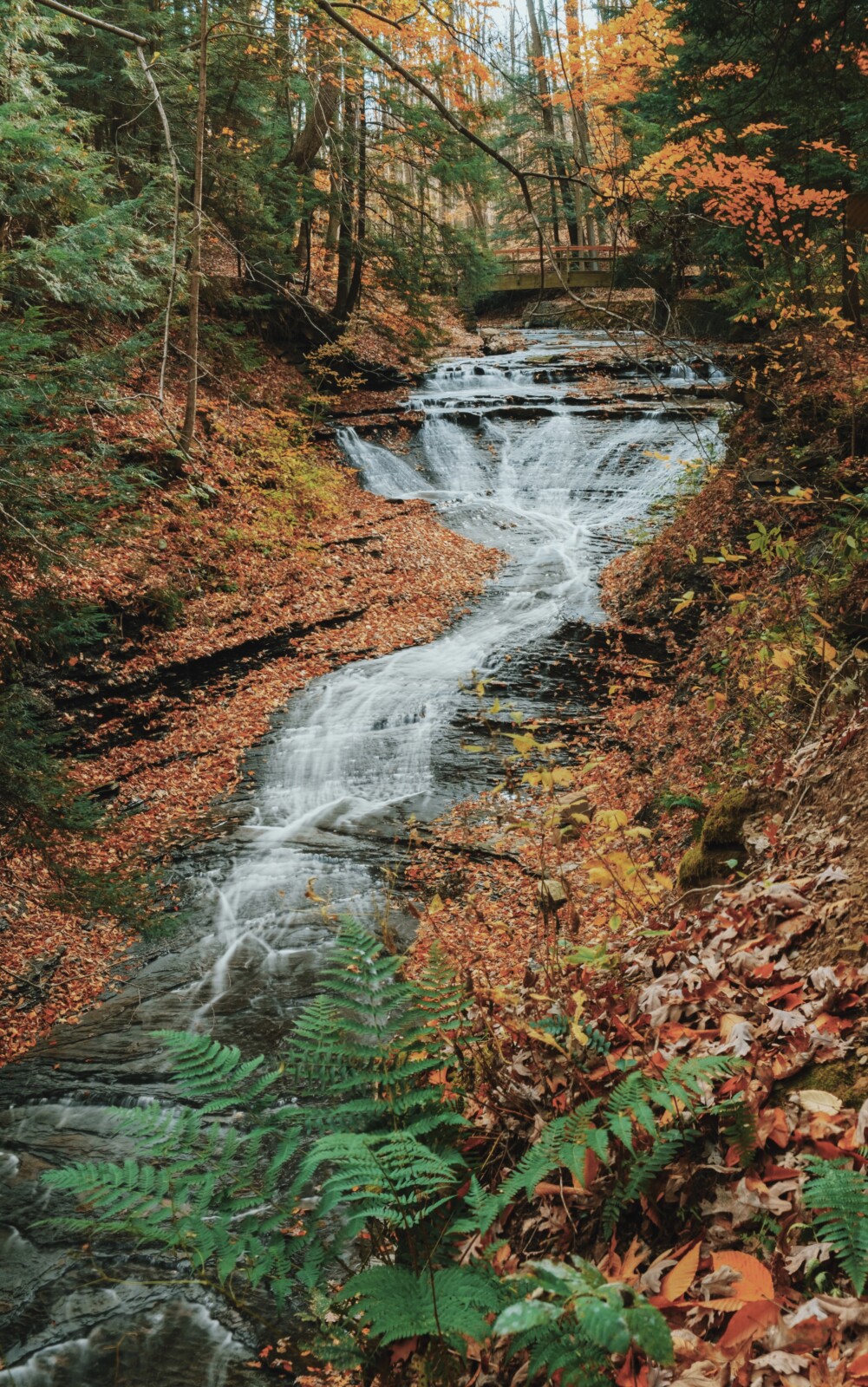 10 Best Fall Hikes Near Cleveland ⋆