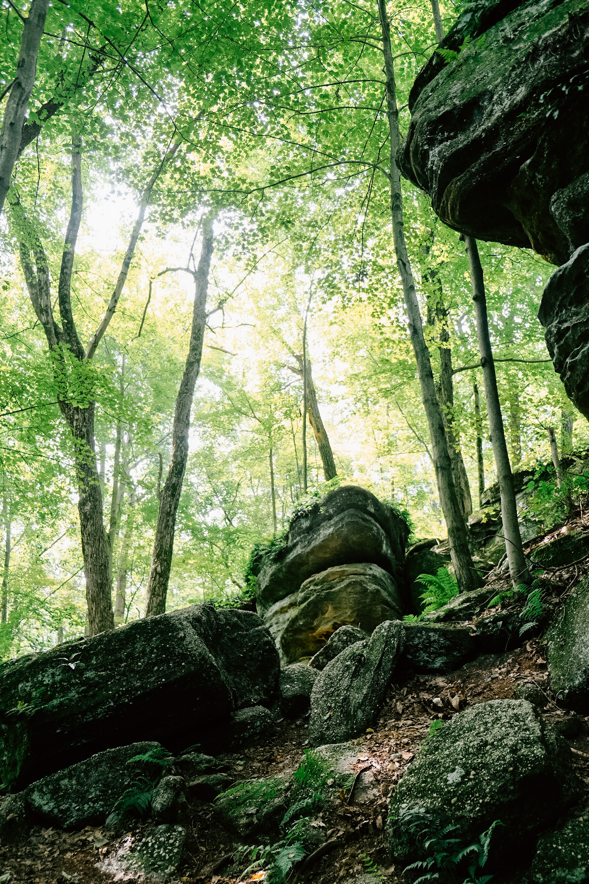 Explore the Ledges of Northeast Ohio ⋆