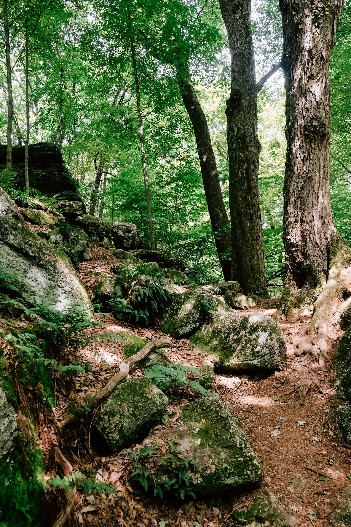 Explore the Ledges of Northeast Ohio ⋆