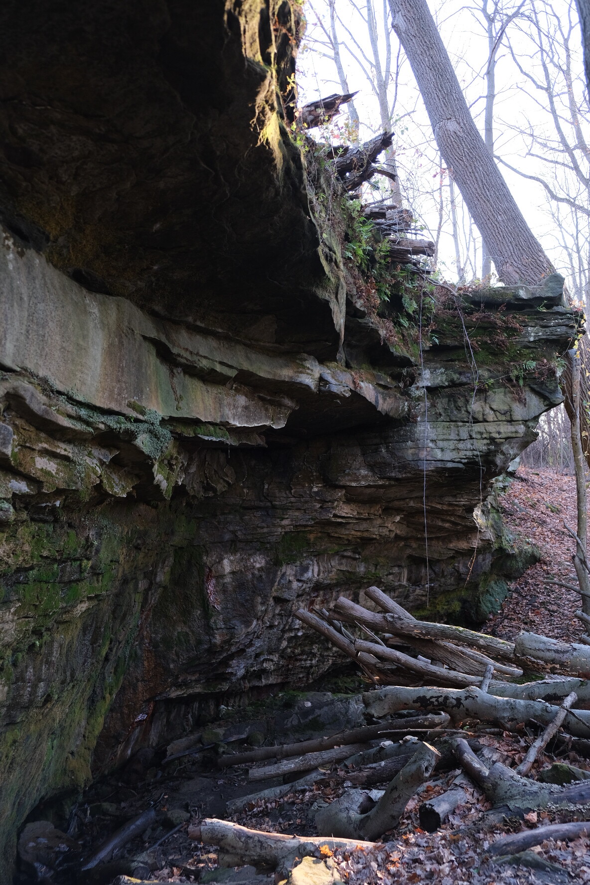 Explore the Ledges of Northeast Ohio ⋆