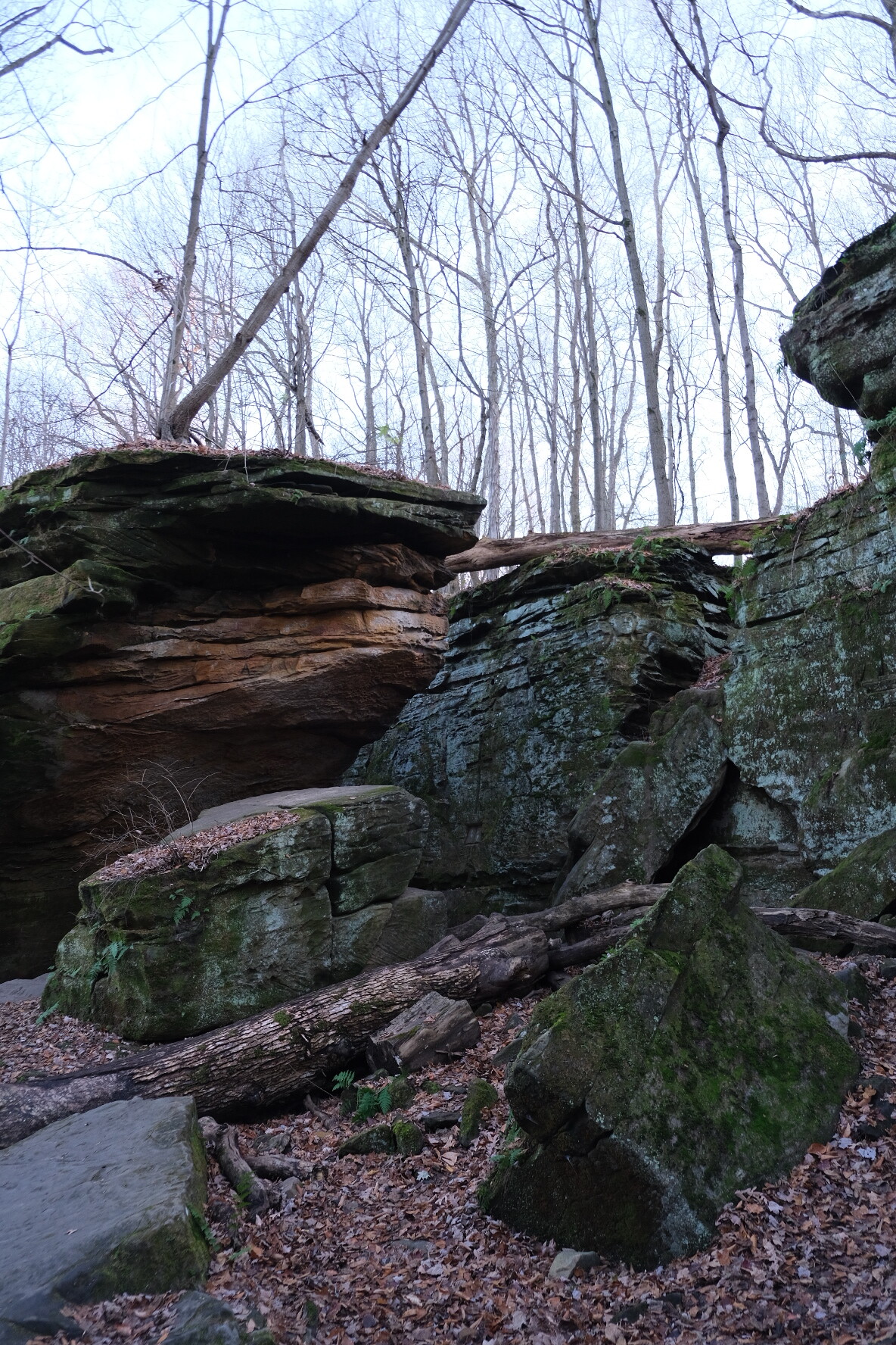 Explore the Ledges of Northeast Ohio ⋆